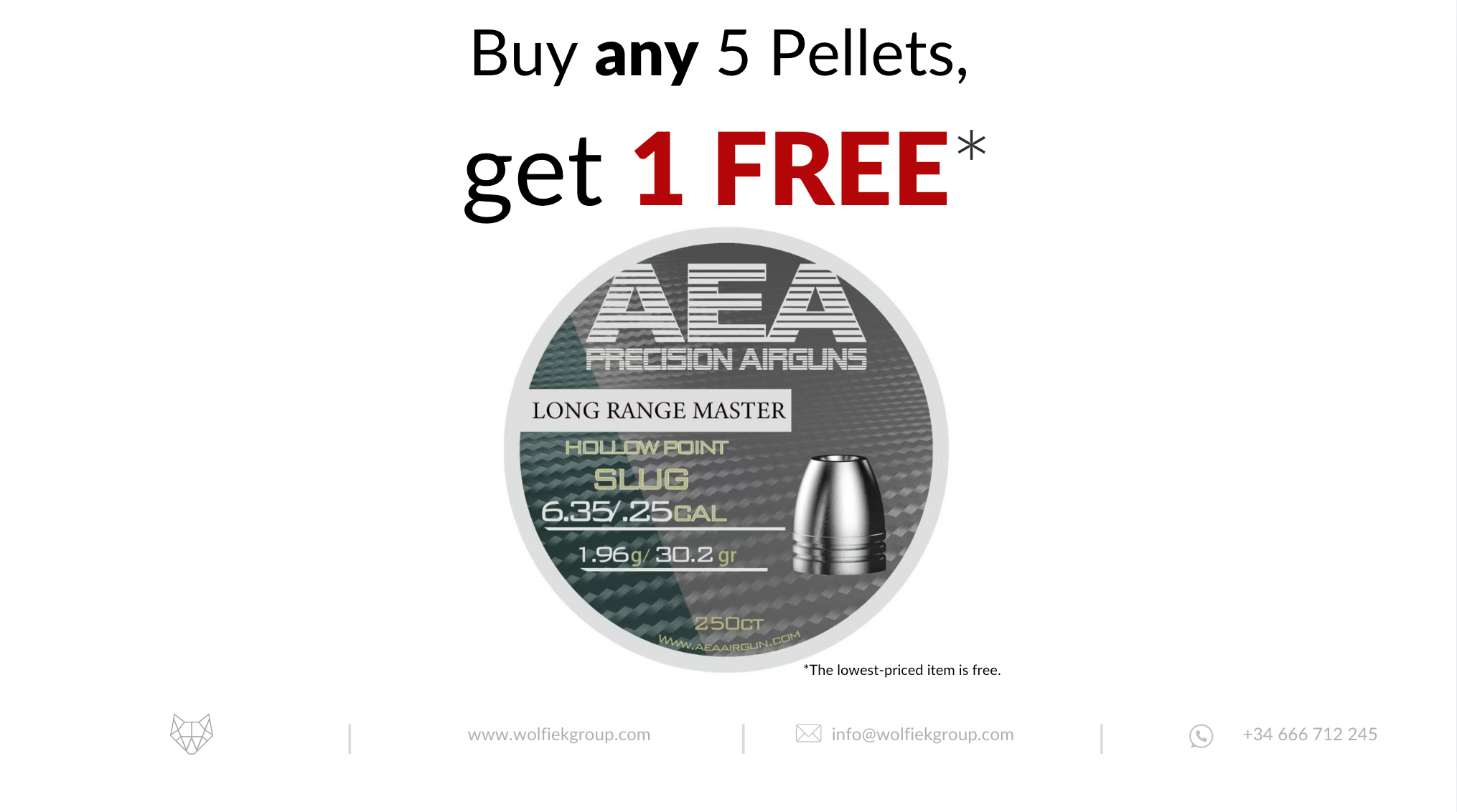 AEA Long Range Master Hollow Point Slugs - Cal .25 (6.35mm) | 1.96g (3 ...